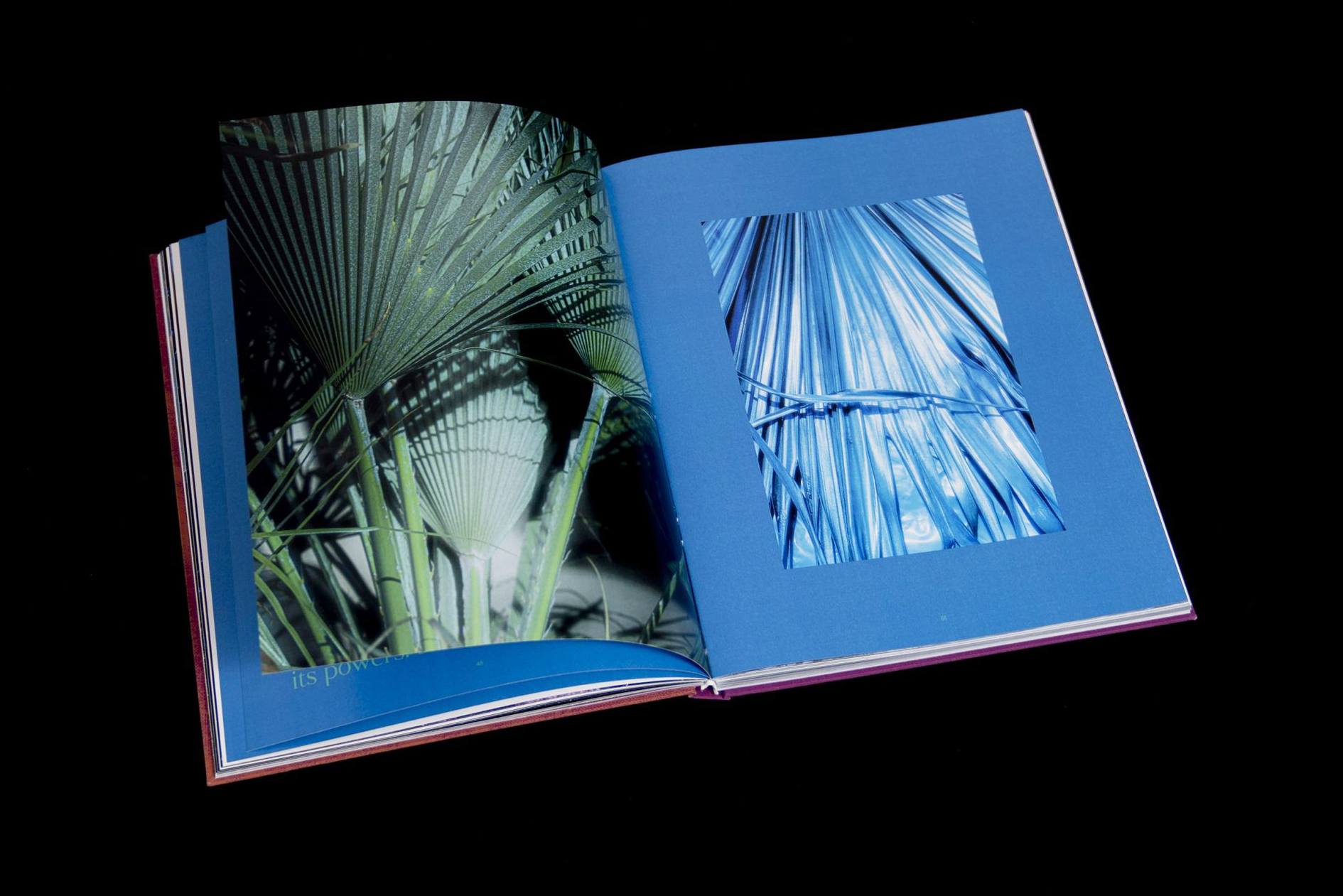 Blake & Vargas – Space - Studio Last